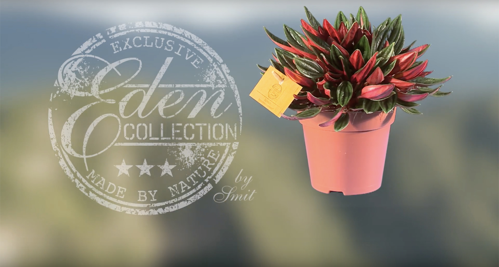 Productvideo - Eden Collection - AVE Solutions